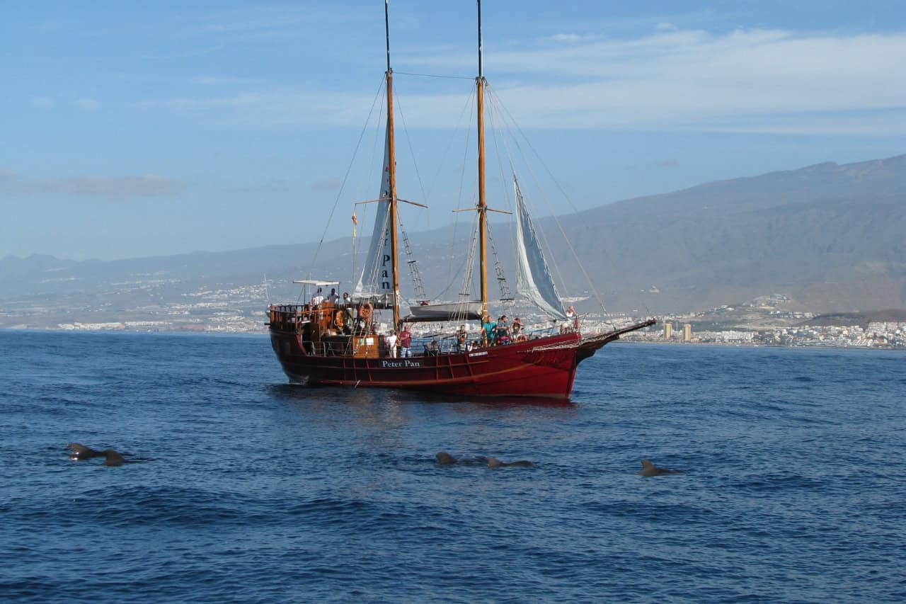 Popular Tenerife Pirate Ship - Peter Pan from Los Cristianos