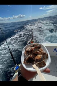 Best Tenerife Fishing Trips: From Novice to Expert Anglers